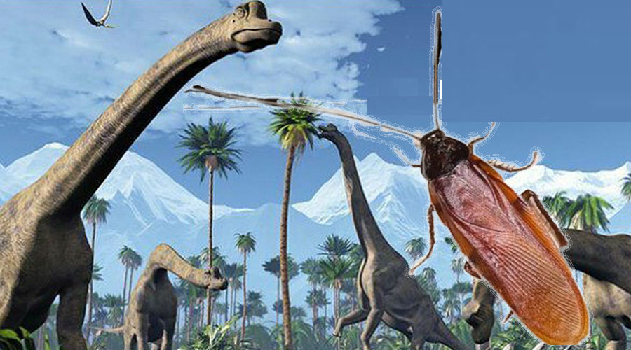 ЛЕБАРКИТЕ ПРЕЖИВЕАЈА, А ДИНОСАУРУСИТЕ НЕ Науката открива што ги прави ...