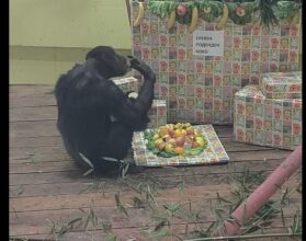 Електронска пријава за состојба на водомер за физички и правни лица ...